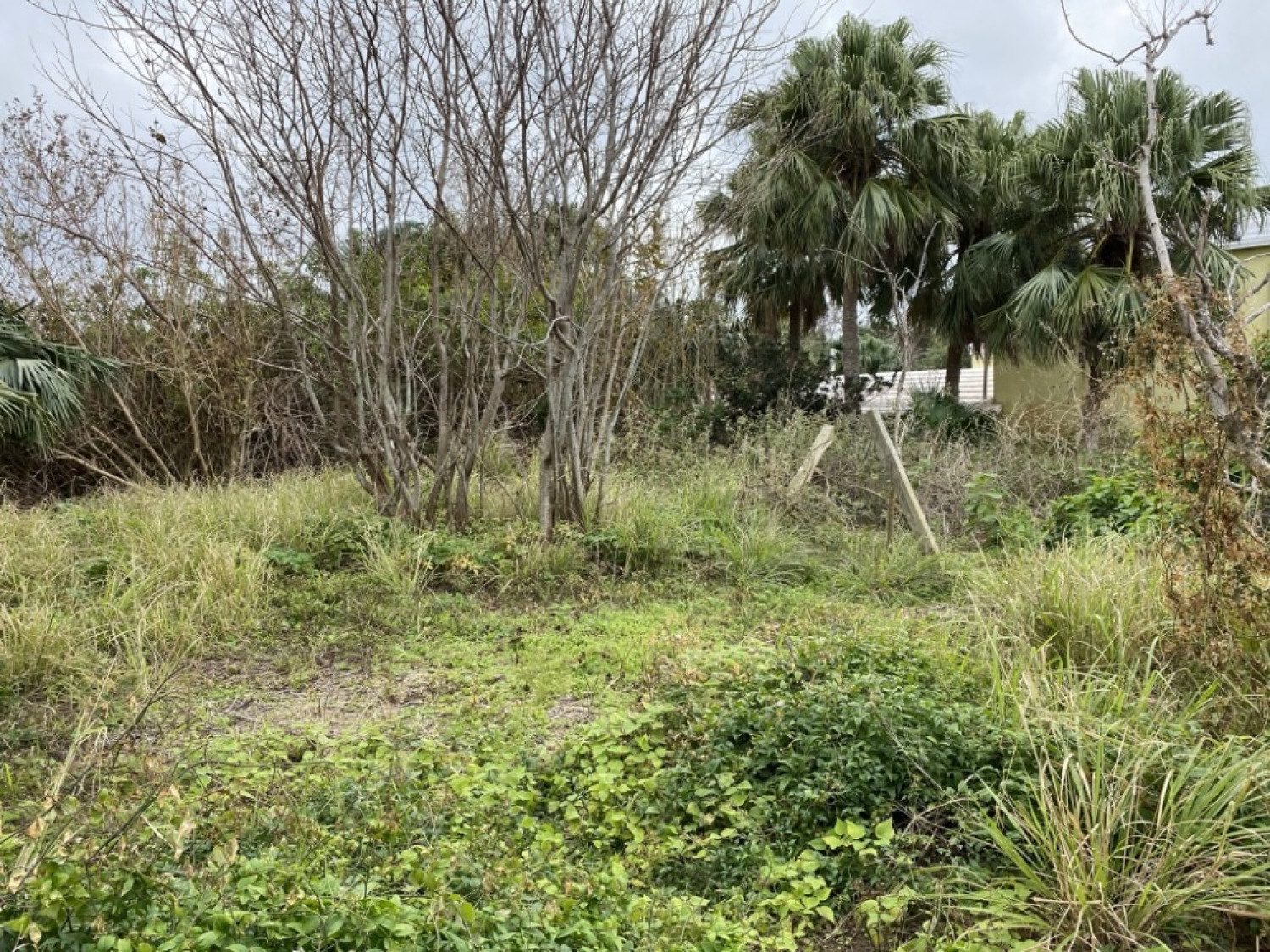 Somerset Road - JBM Realty