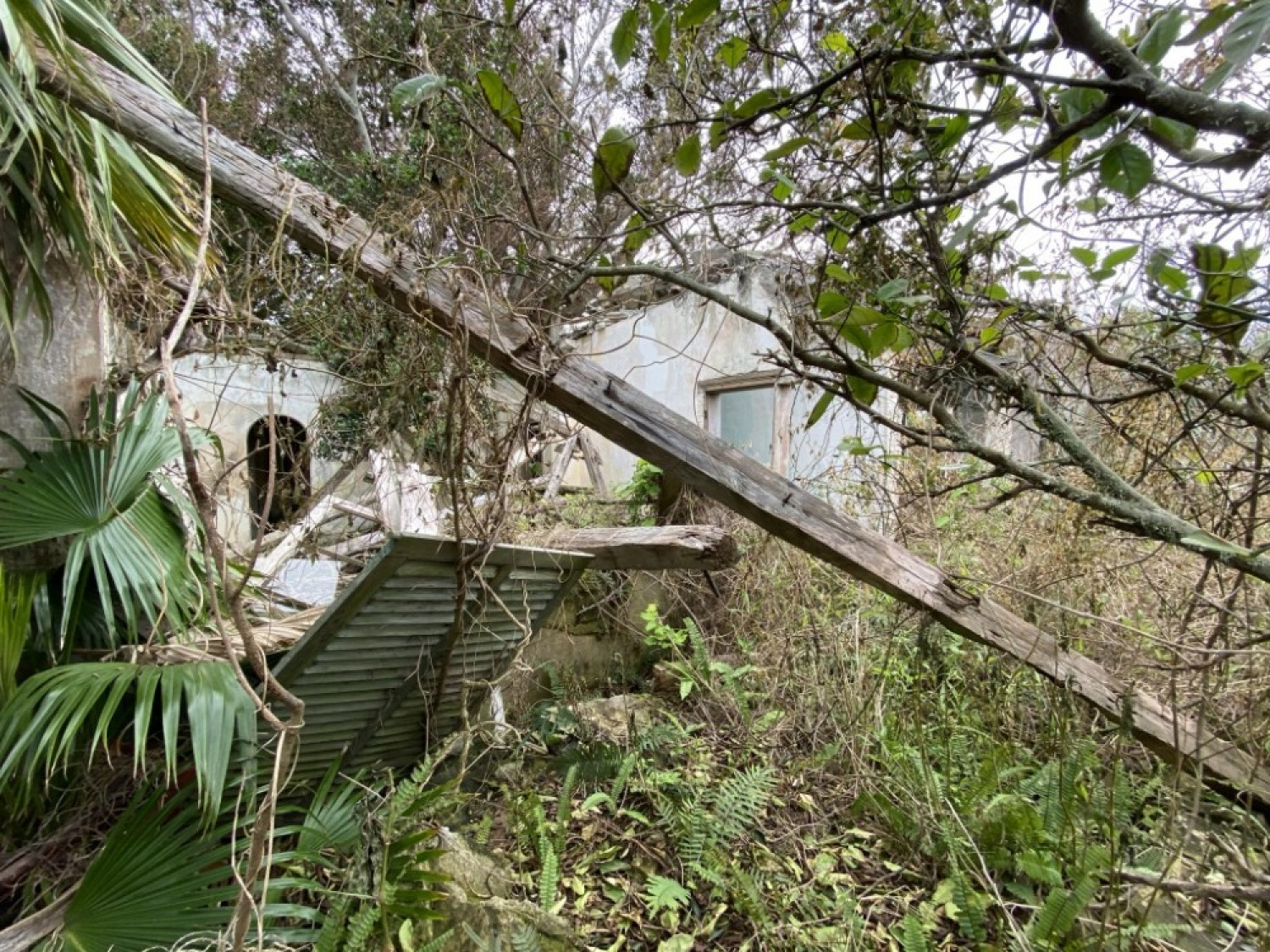 Somerset Road - JBM Realty